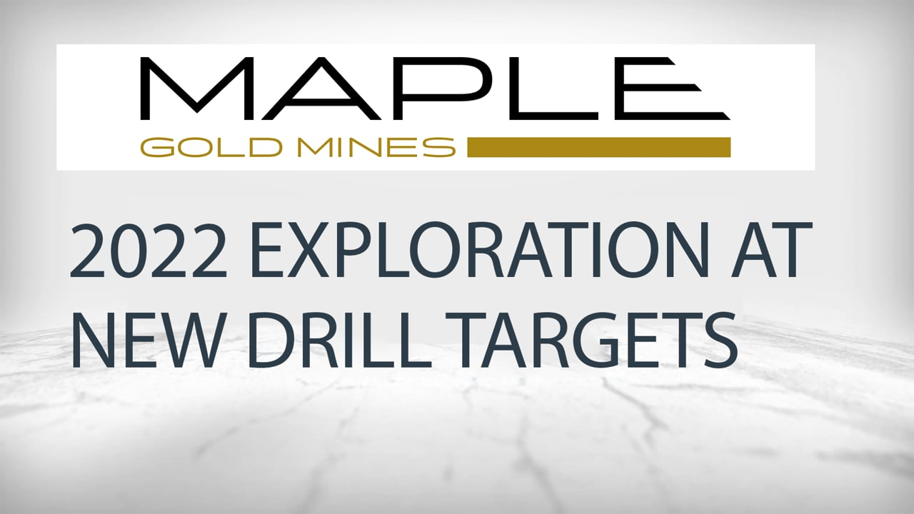 Maple Gold Mines: Start of Further Drilling Program with Two Rigs on New Targets | Commodity-TV